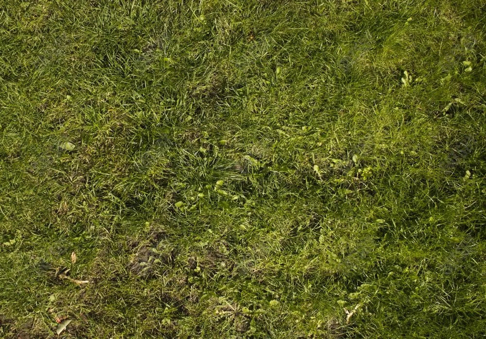 Fresh Grass Floor Photography Backdrop GBSX-99784 – Gatsby Backdrop