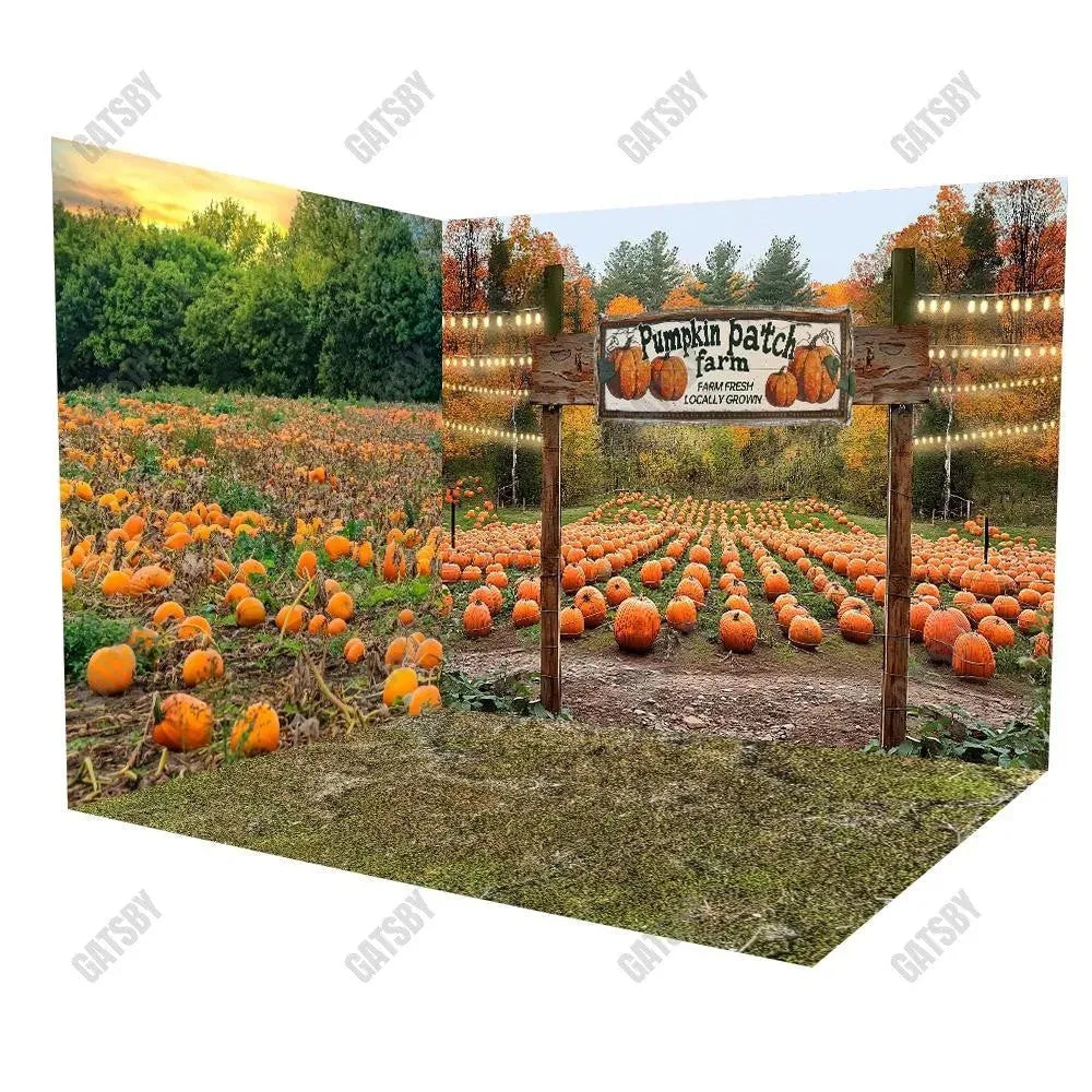 Gatsby Autumn Pumpkin Patch Field Room Set Backdrop Ym8G-B0508&Gbsx ...