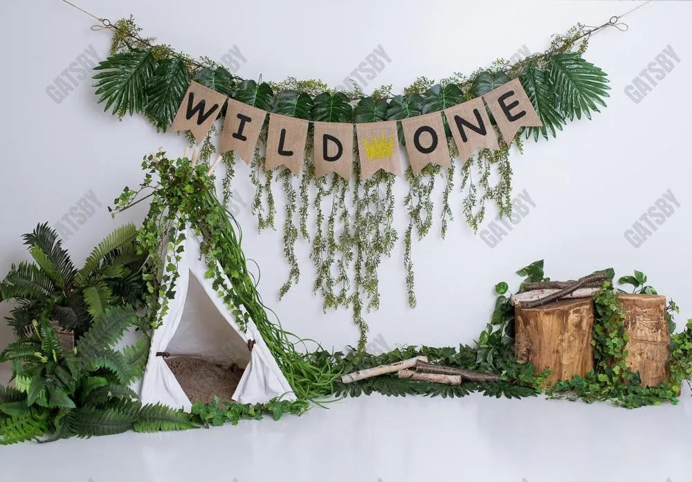 Gatsby Wild One Photography Backdrop Gbsx-00398 – Gatsby Backdrop