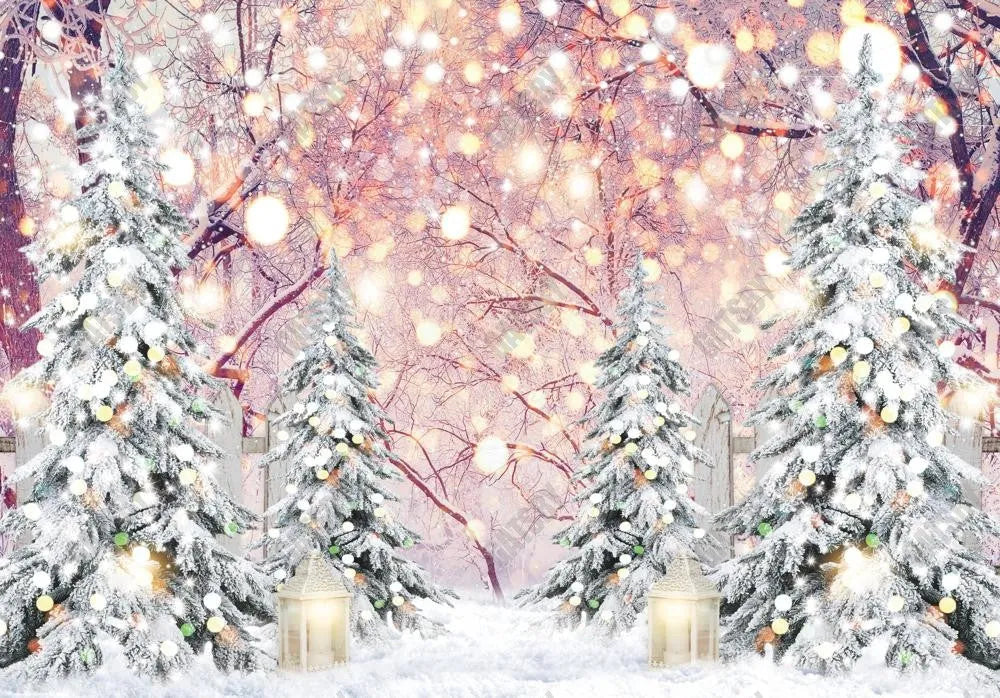 Winter Landscape Backdrop – Gatsby Backdrop